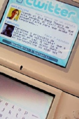 DS Twitter - GameBrew