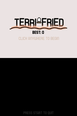 Nintendo DSi/NDS/DS Homebrew Games & Ports